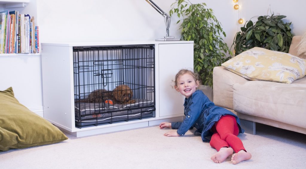 Crate Training Tips - Omlet Blog UK