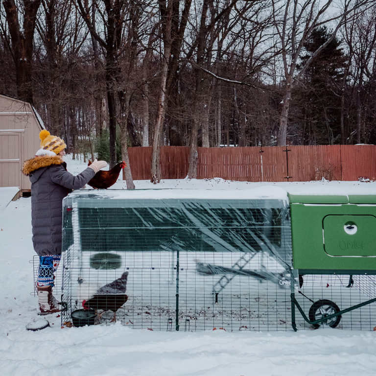 WIN an accessory bundle for your new Eglu! - Omlet Blog UK