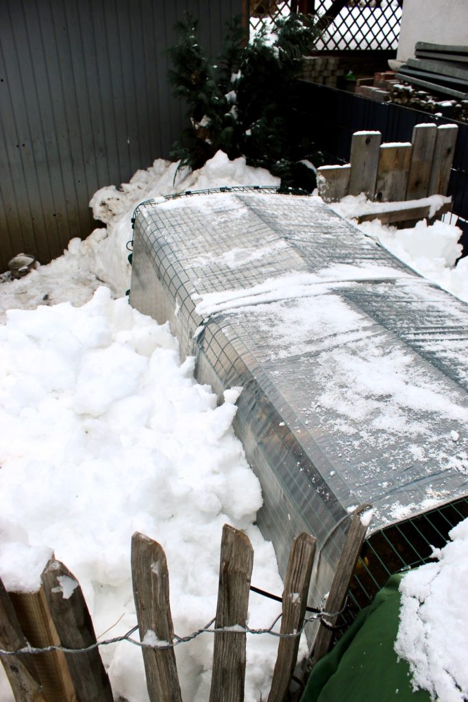 When your Eglu looks like an Igloo - Omlet Blog UK