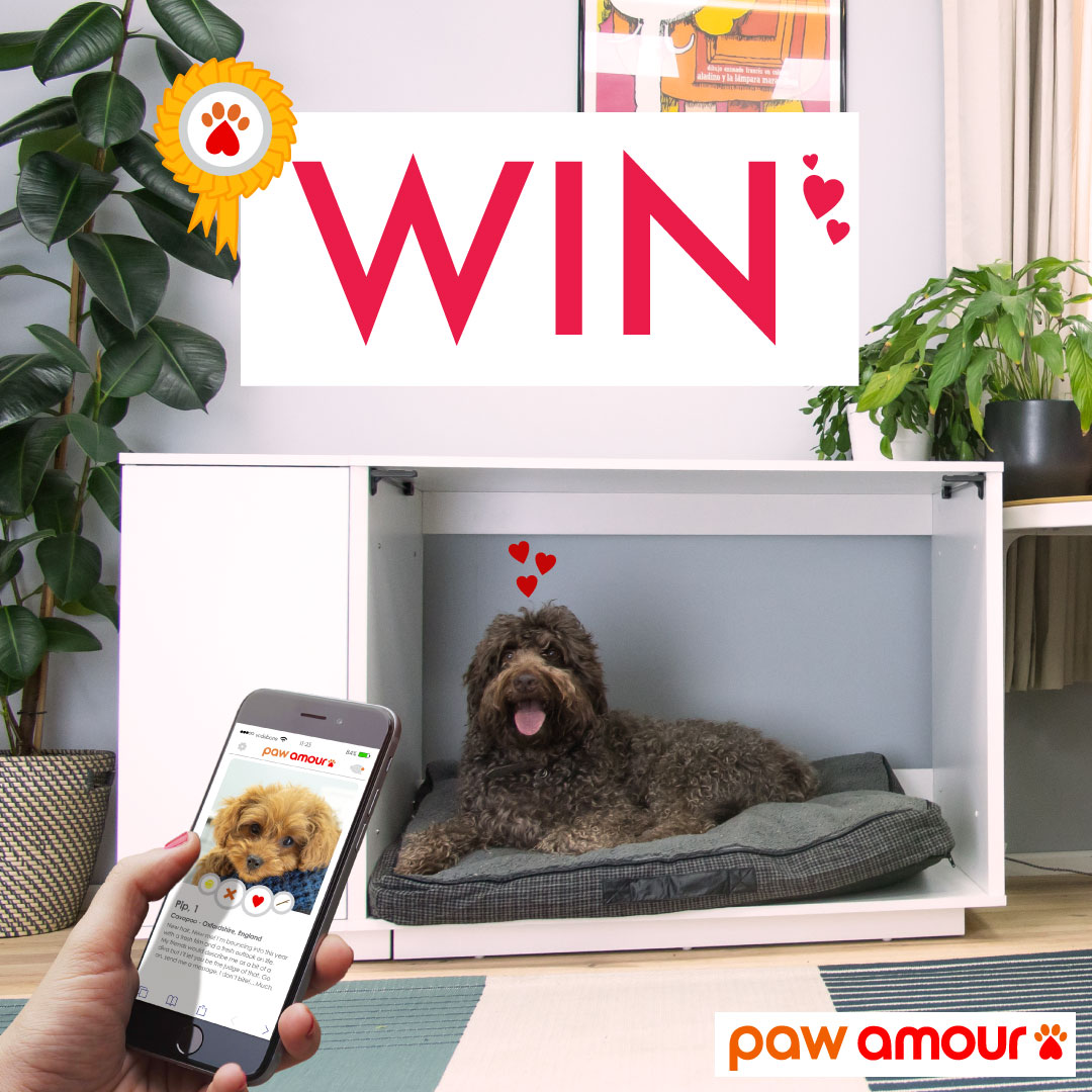 WIN a Fido Nook or Studio in our Paw Amour Valentine’s Competition!