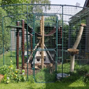 Top DIY Ideas To Upgrade Your Cat Run - Omlet Blog UK
