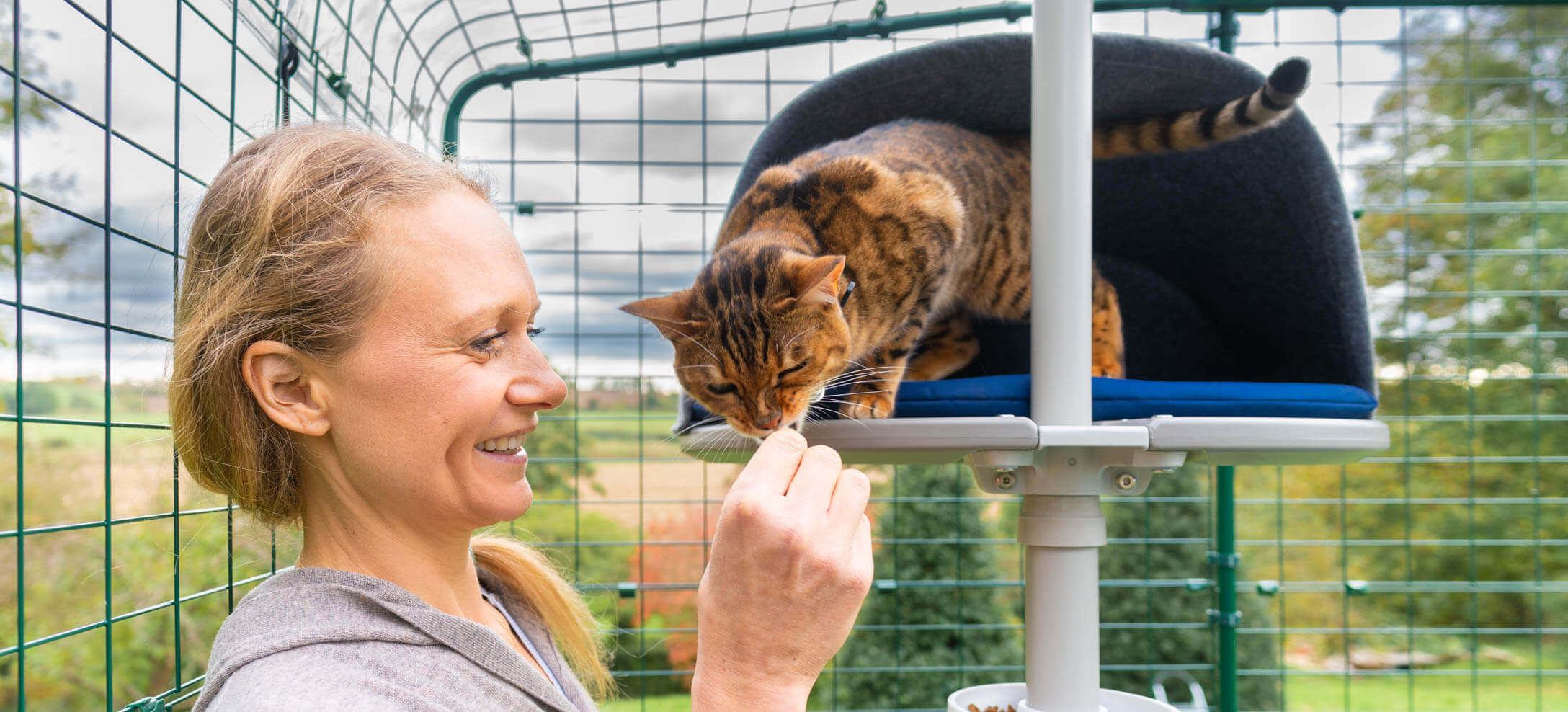 How to beat the heat with your feline - Omlet Blog UK