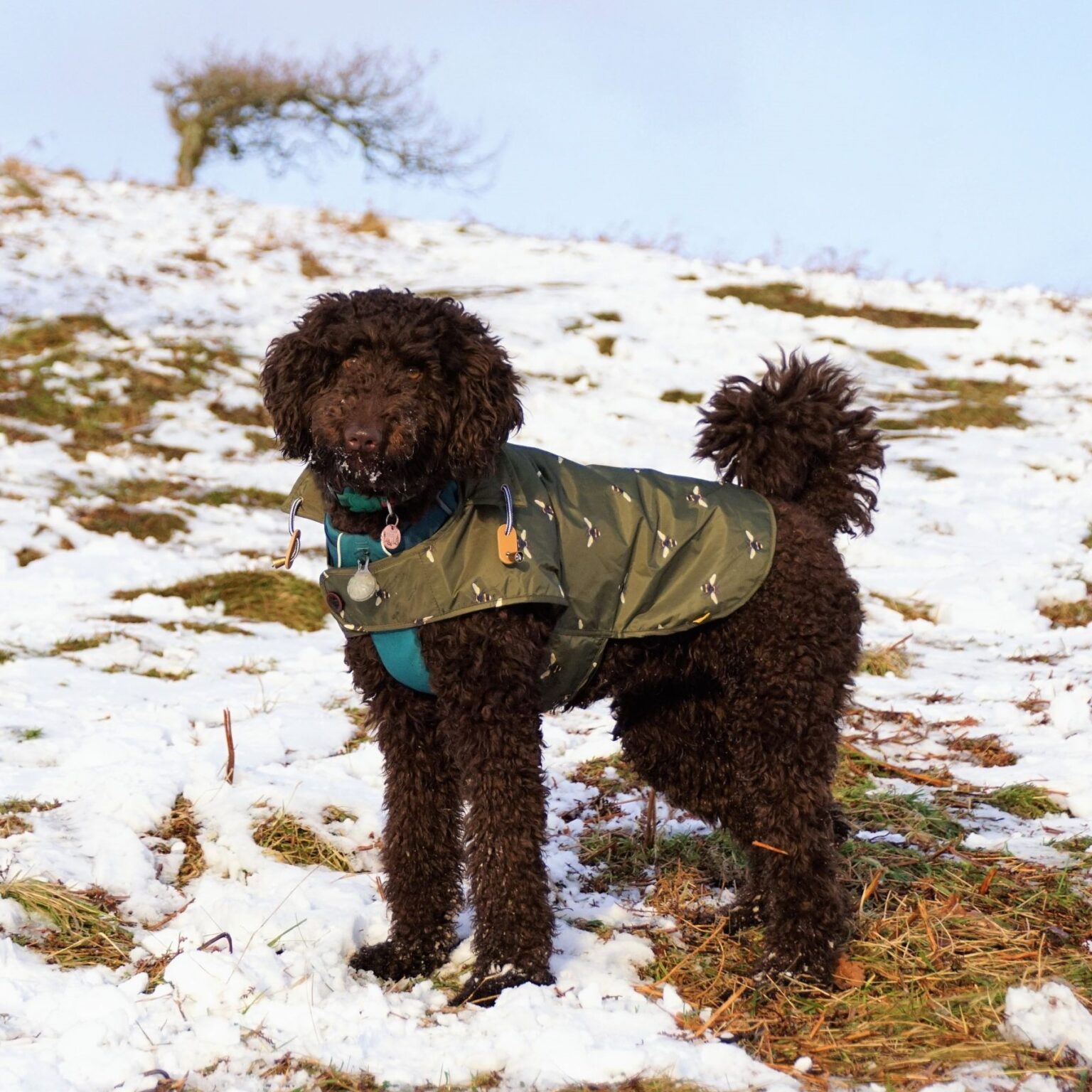 Competitions Omlet Blog Uk