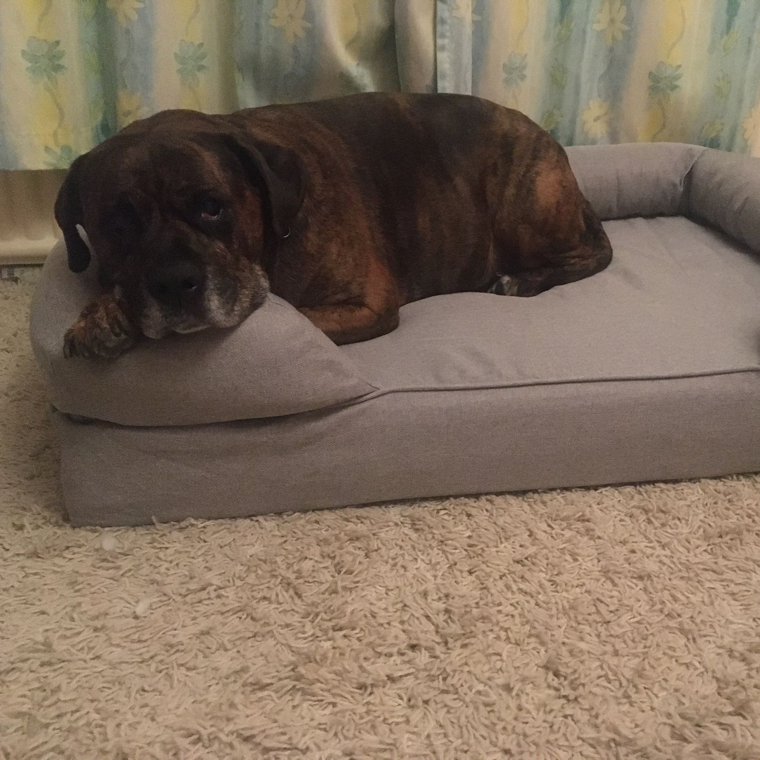 Competitions - Omlet Blog UK