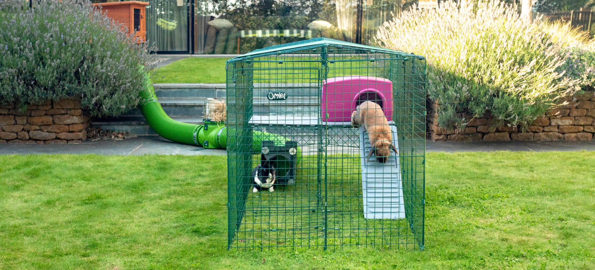 How to Use Platforms With Your Rabbits - Omlet Blog UK