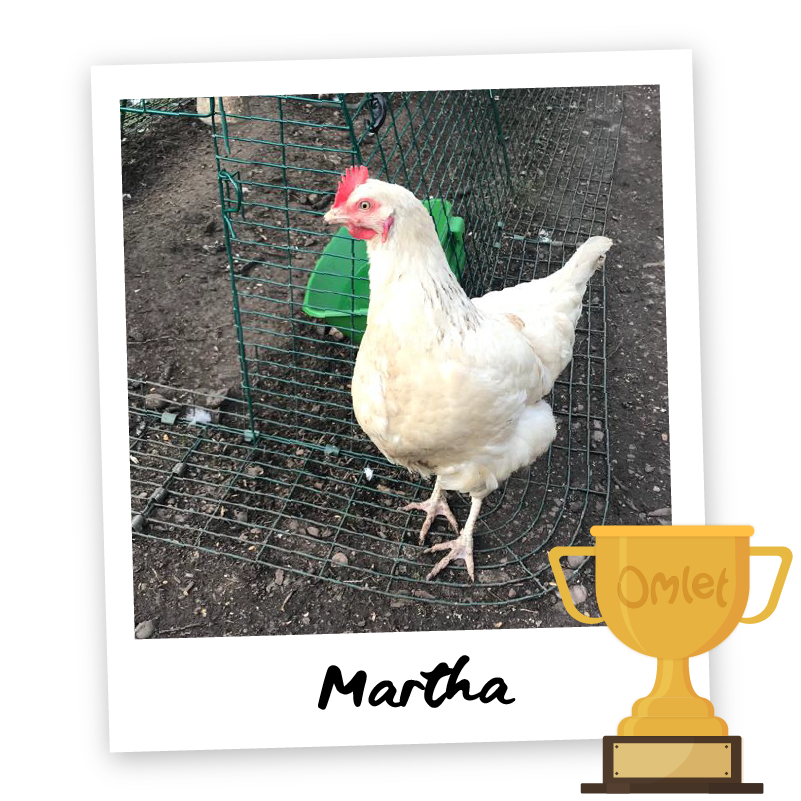 Pride of Omlet: Ten Amazing Stories - Omlet Blog UK