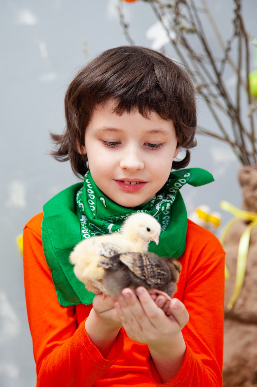 Why Chickens Make the Best Pets for Kids - Omlet Blog UK