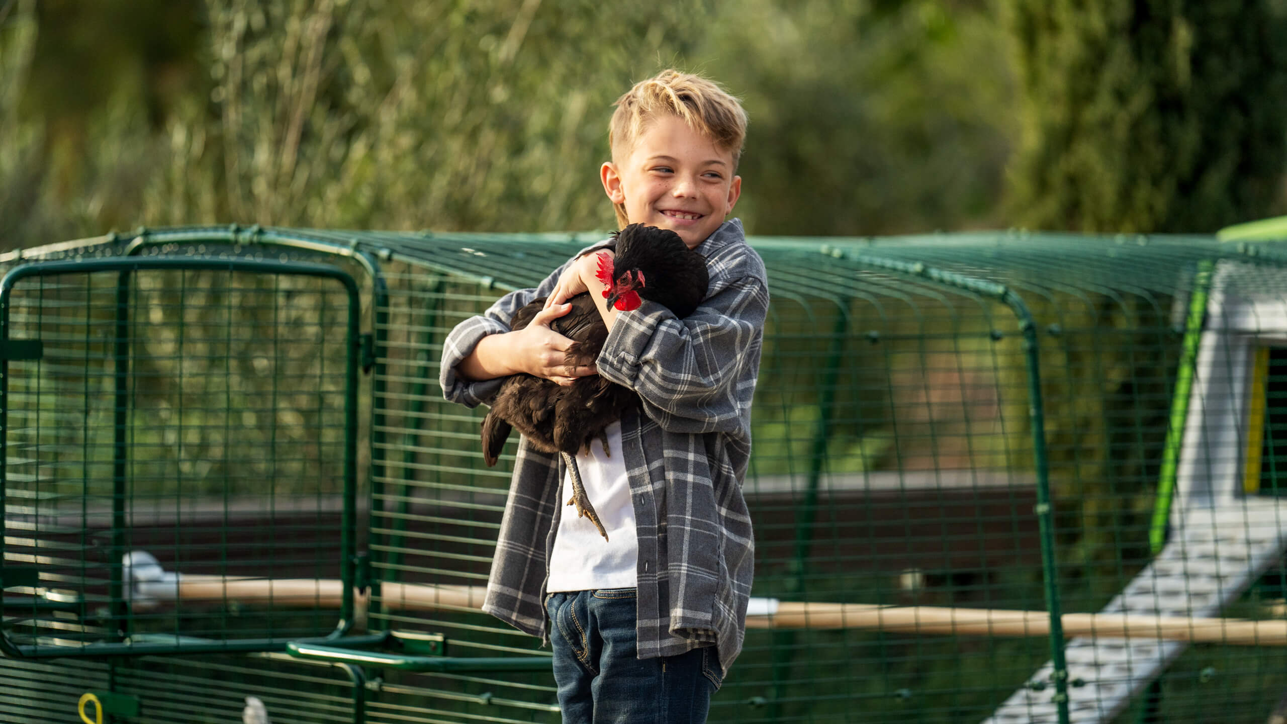 Why chickens make the best pets for kids - Omlet Blog UK