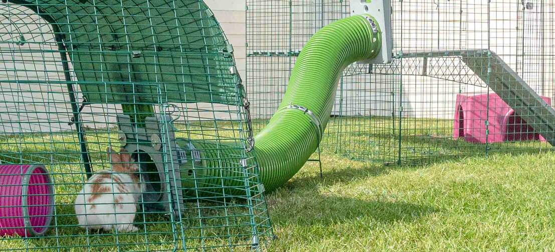 New Rabbit Checklist - Omlet Blog UK