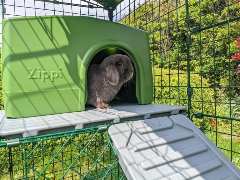 How to Create More Space for Your Rabbits - Omlet Blog UK