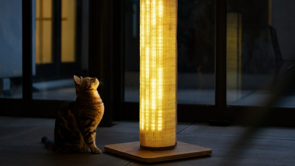 The new cat scratcher with over 1200 light settings - Omlet Blog UK