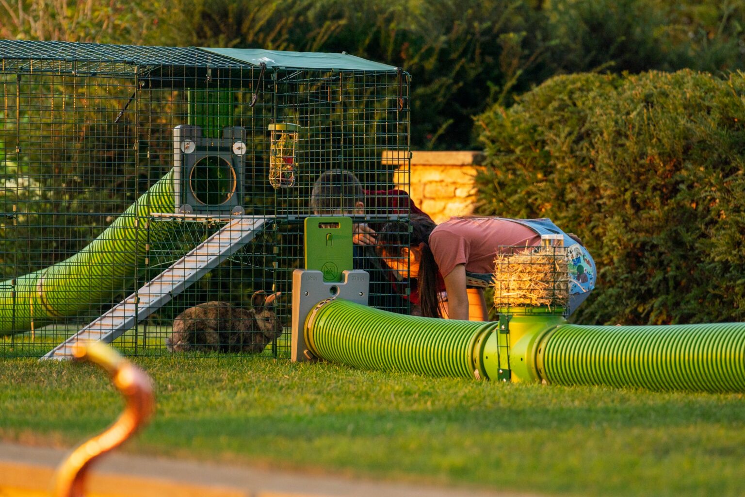 Rabbit enrichment 101 - Omlet Blog UK