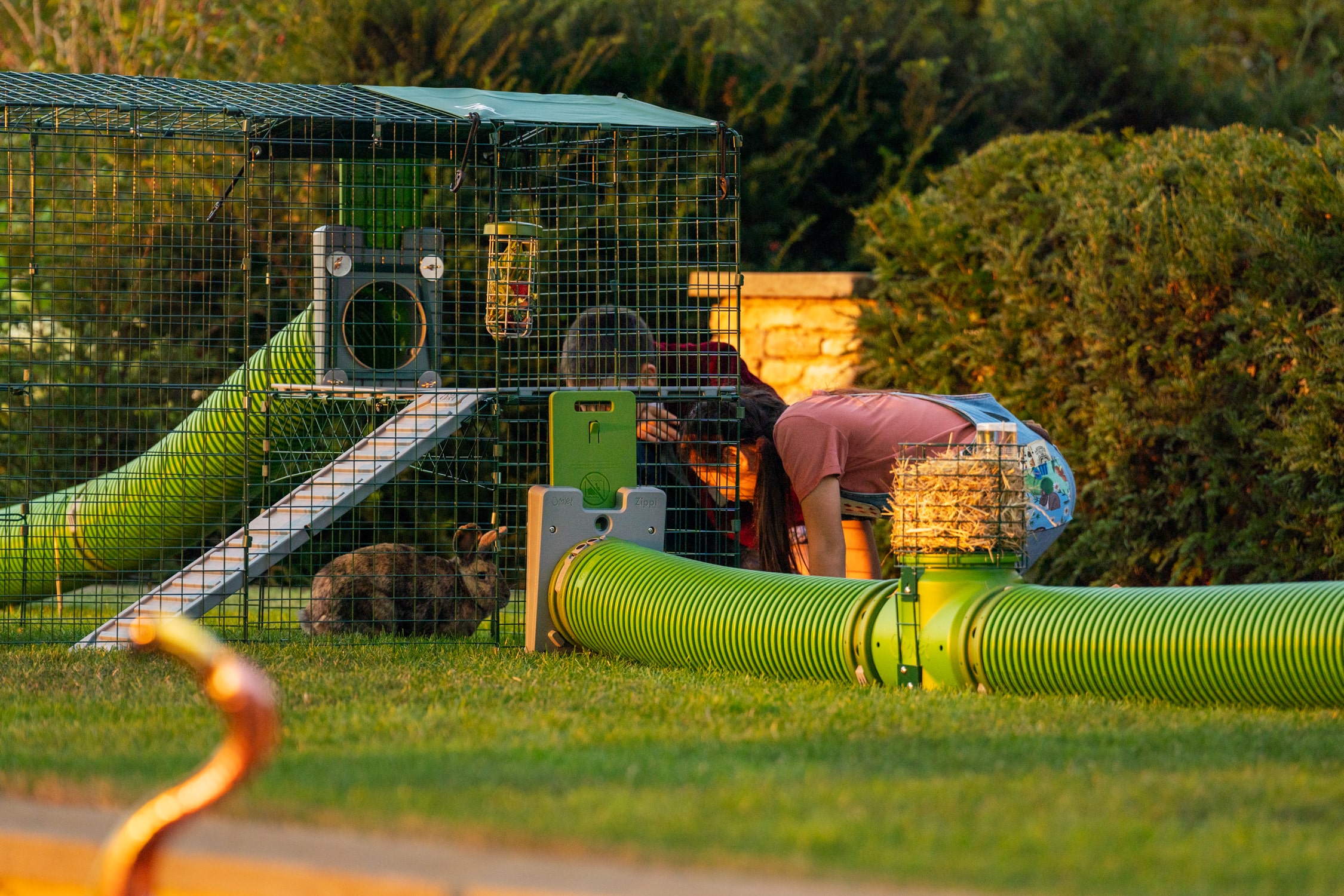 Rabbit enrichment 101 - Omlet Blog UK