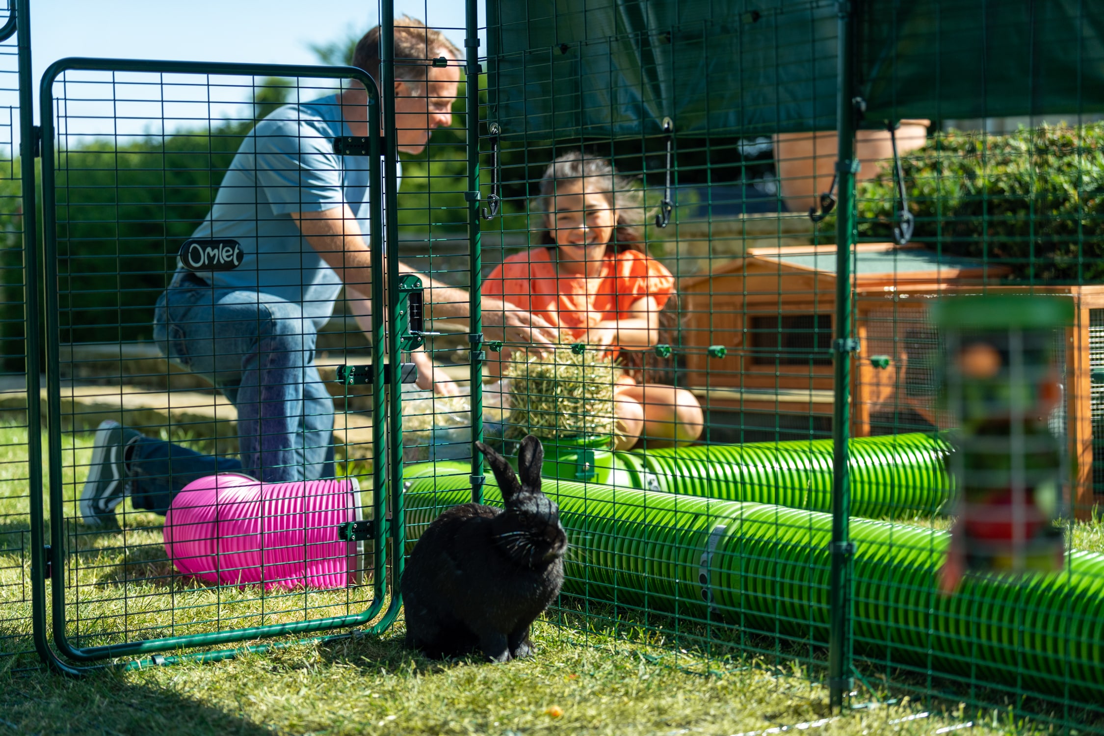 Keeping rabbits for beginners - Omlet Blog UK