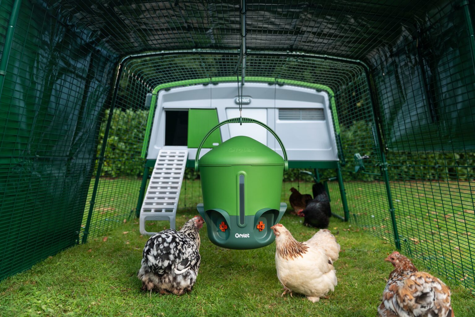 Best Chicken Drinker for Chicken Keepers