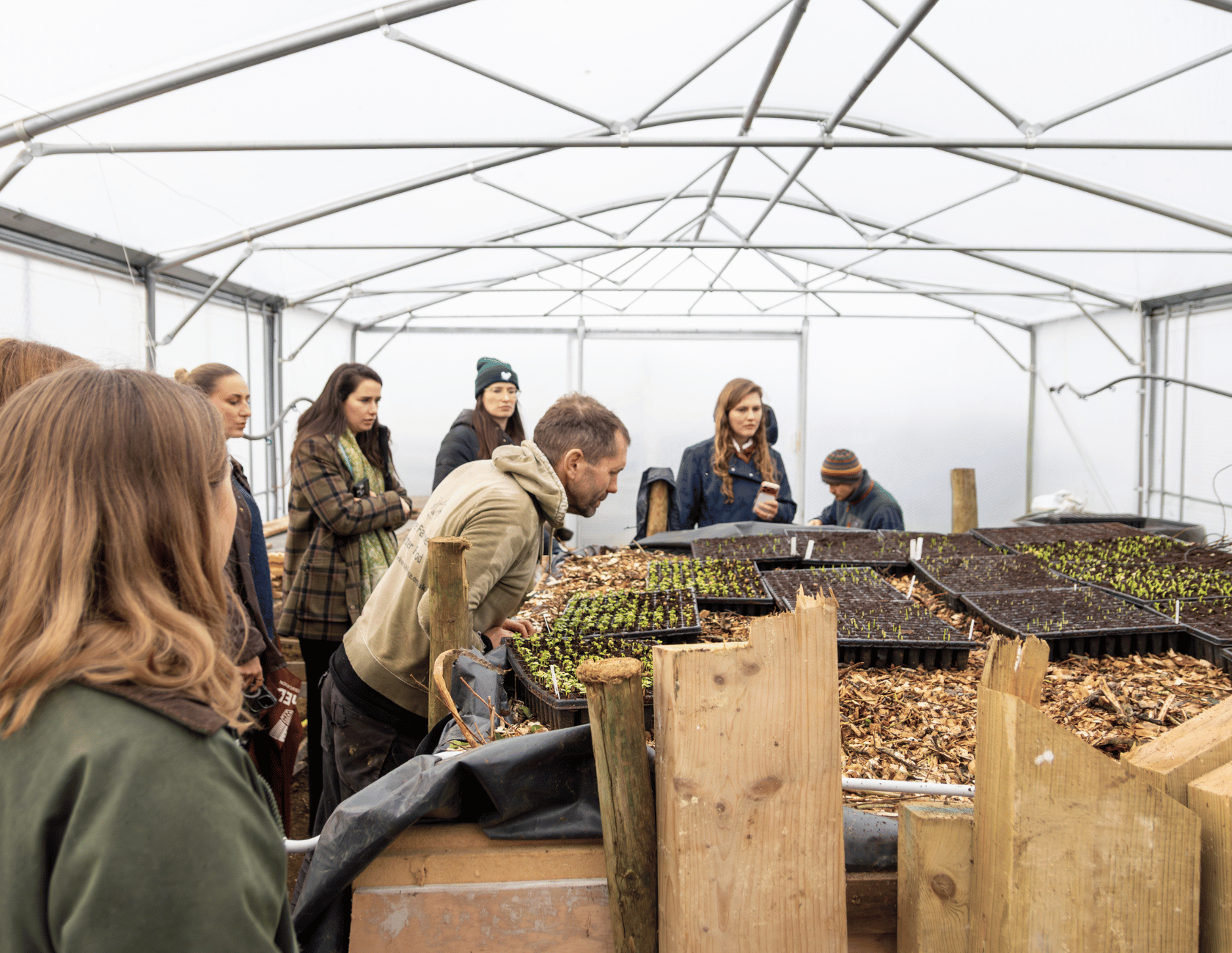 The Regen Hens: An introduction to Regenerative Chicken Farming - Omlet ...